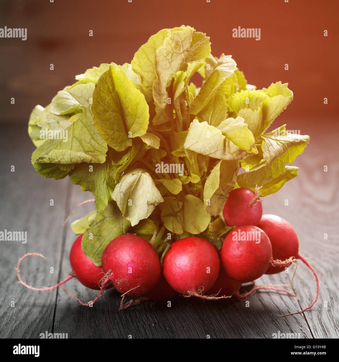 Fresh radish on table hi-res stock photography and images - Alamy