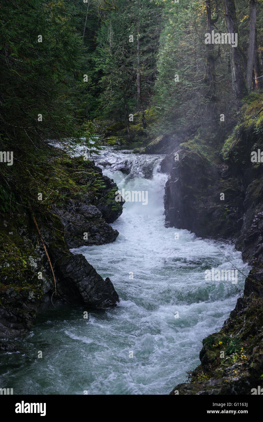 Little qualicum river near parksville hi-res stock photography and ...