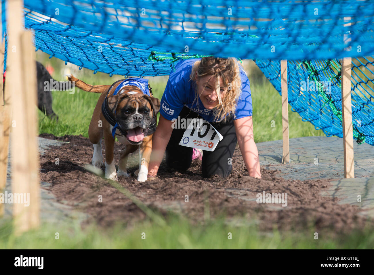London, UK. 7 May 2016. Dogs with their owners tackle the obstacle ...