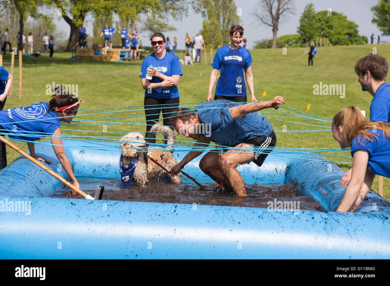 London, UK. 7 May 2016. Dogs and their owners take a dip in a muddy ...
