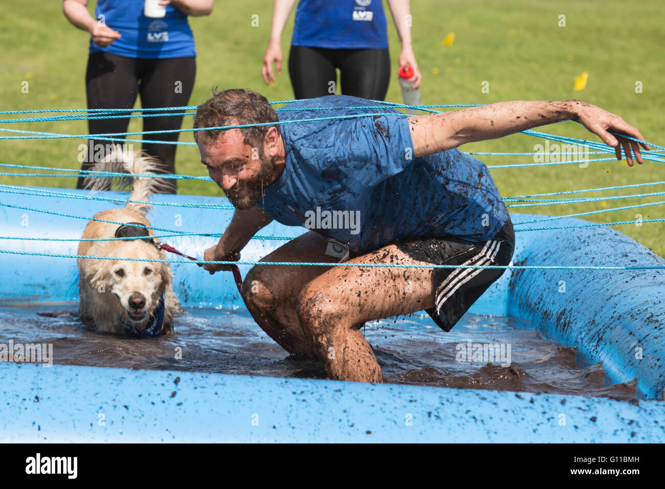 Dog obstacle mud hi-res stock photography and images - Alamy