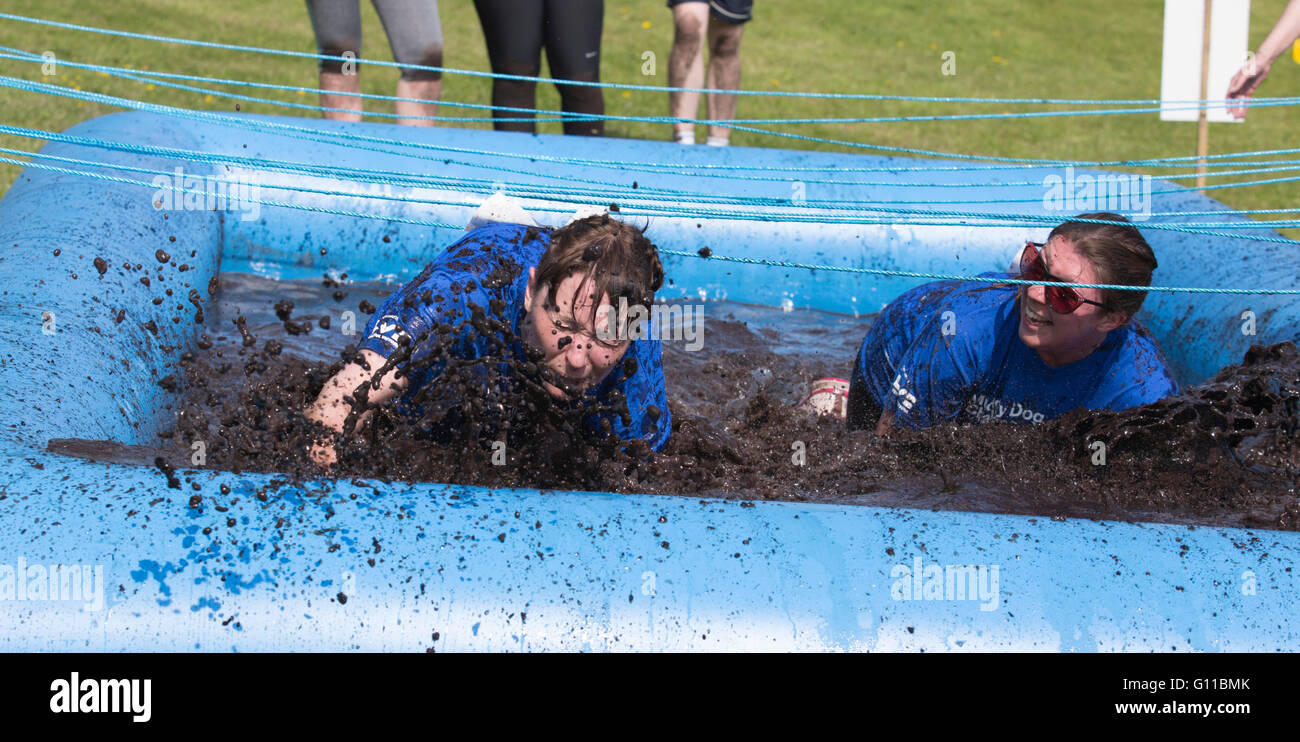 Cats At The Pool High Resolution Stock Photography and Images - Alamy