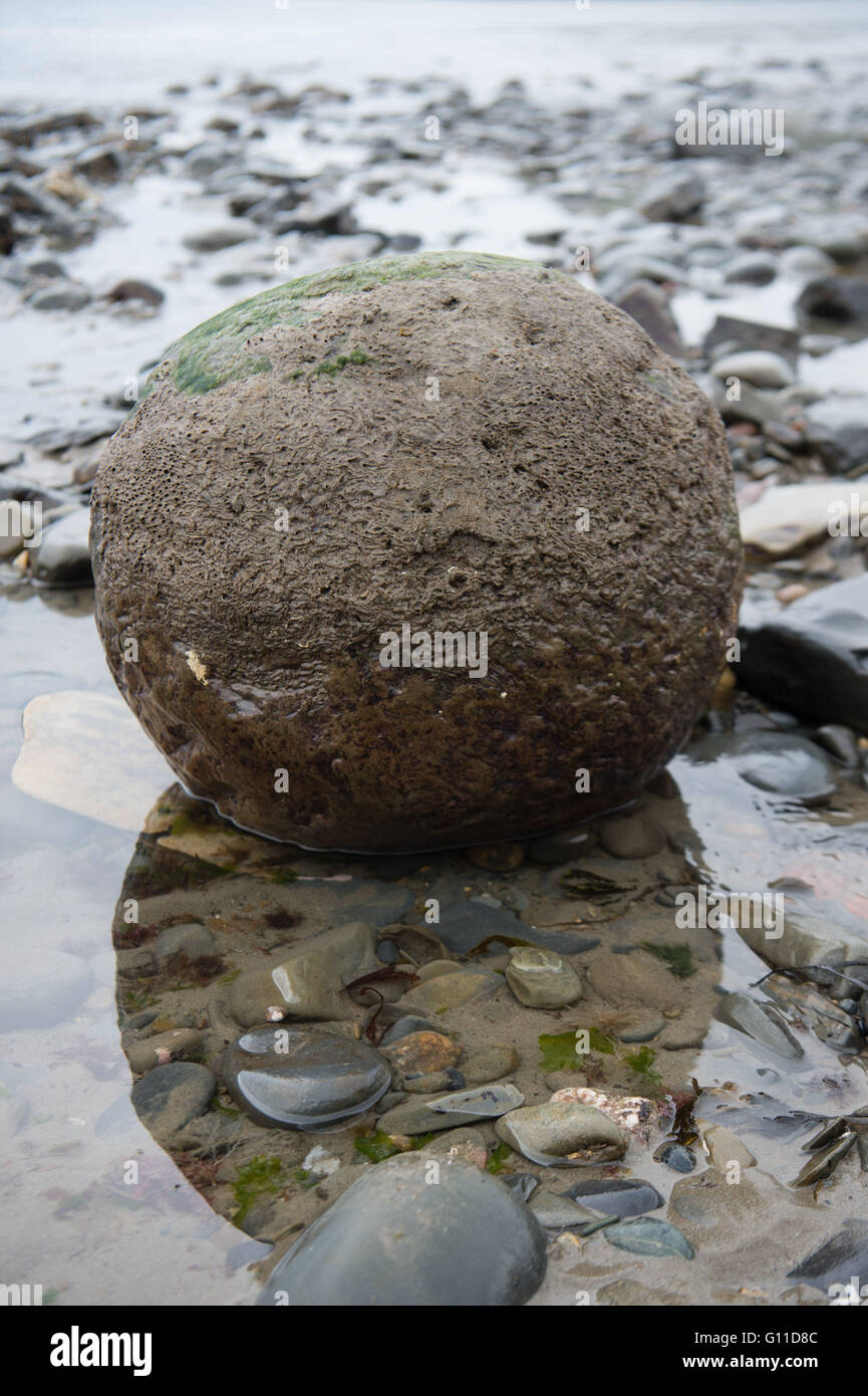 Morris castle beach hi-res stock photography and images - Alamy