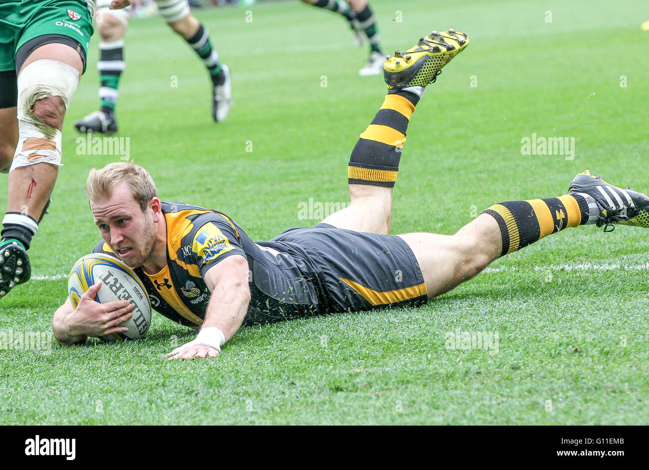 Wasps Dan Robson High Resolution Stock Photography and Images - Alamy