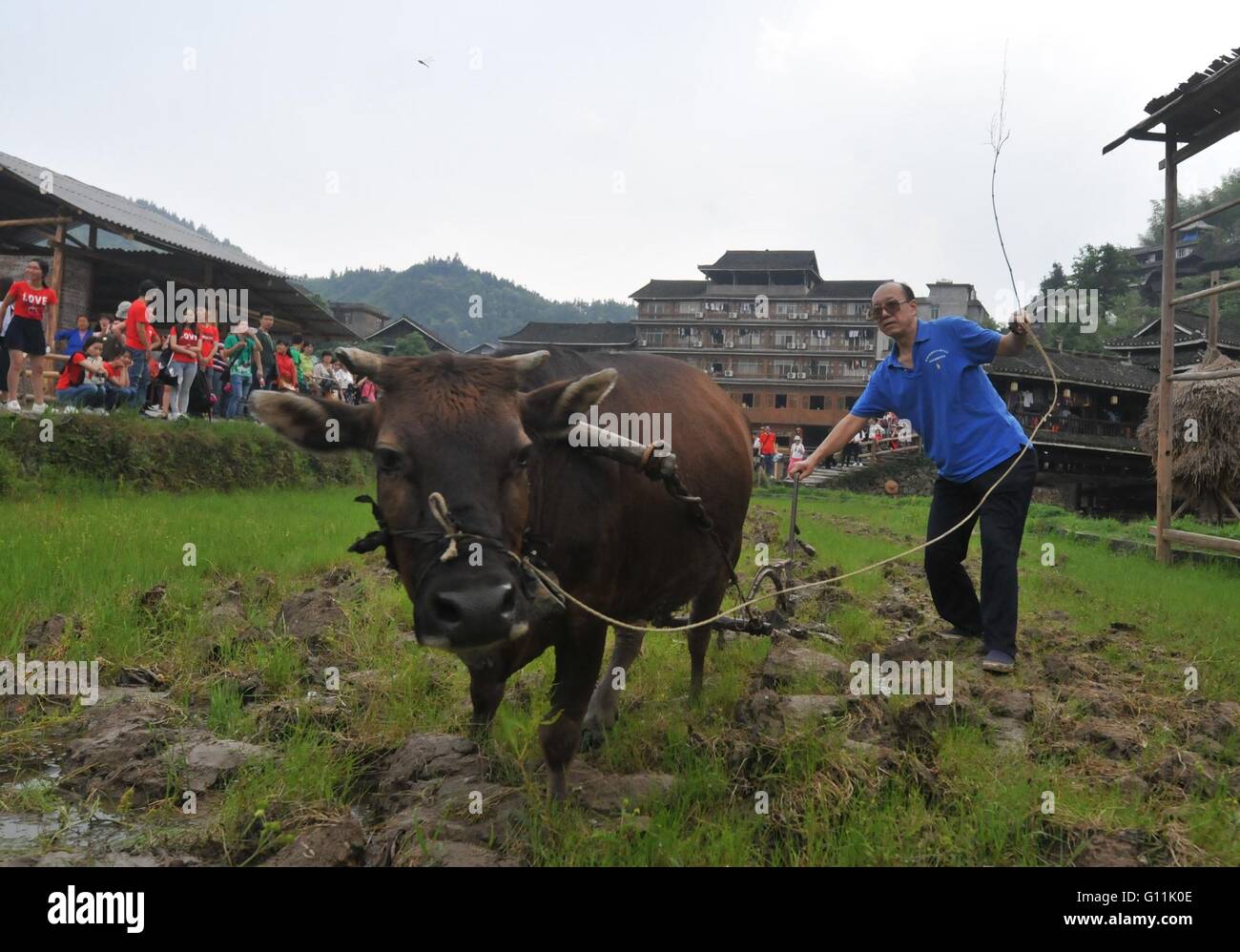 Sanjiang, China's Guangxi Zhuang Autonomous Region. 7th May, 2016. A ...
