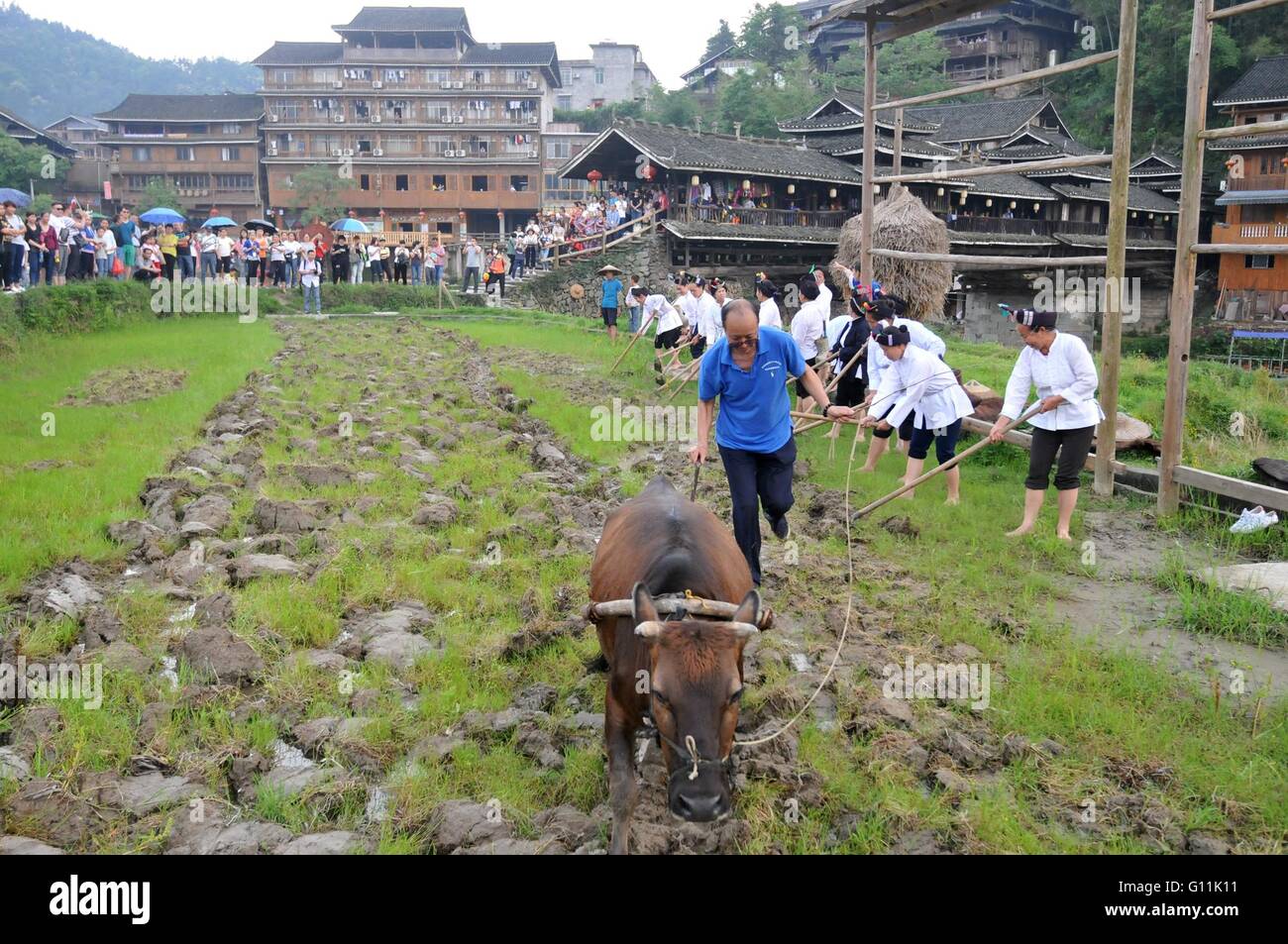 Sanjiang, China's Guangxi Zhuang Autonomous Region. 7th May, 2016. A ...
