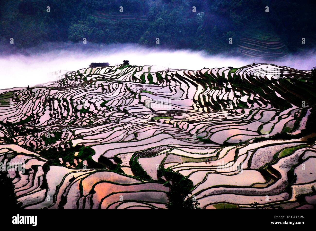 Chaofu hi-res stock photography and images - Alamy