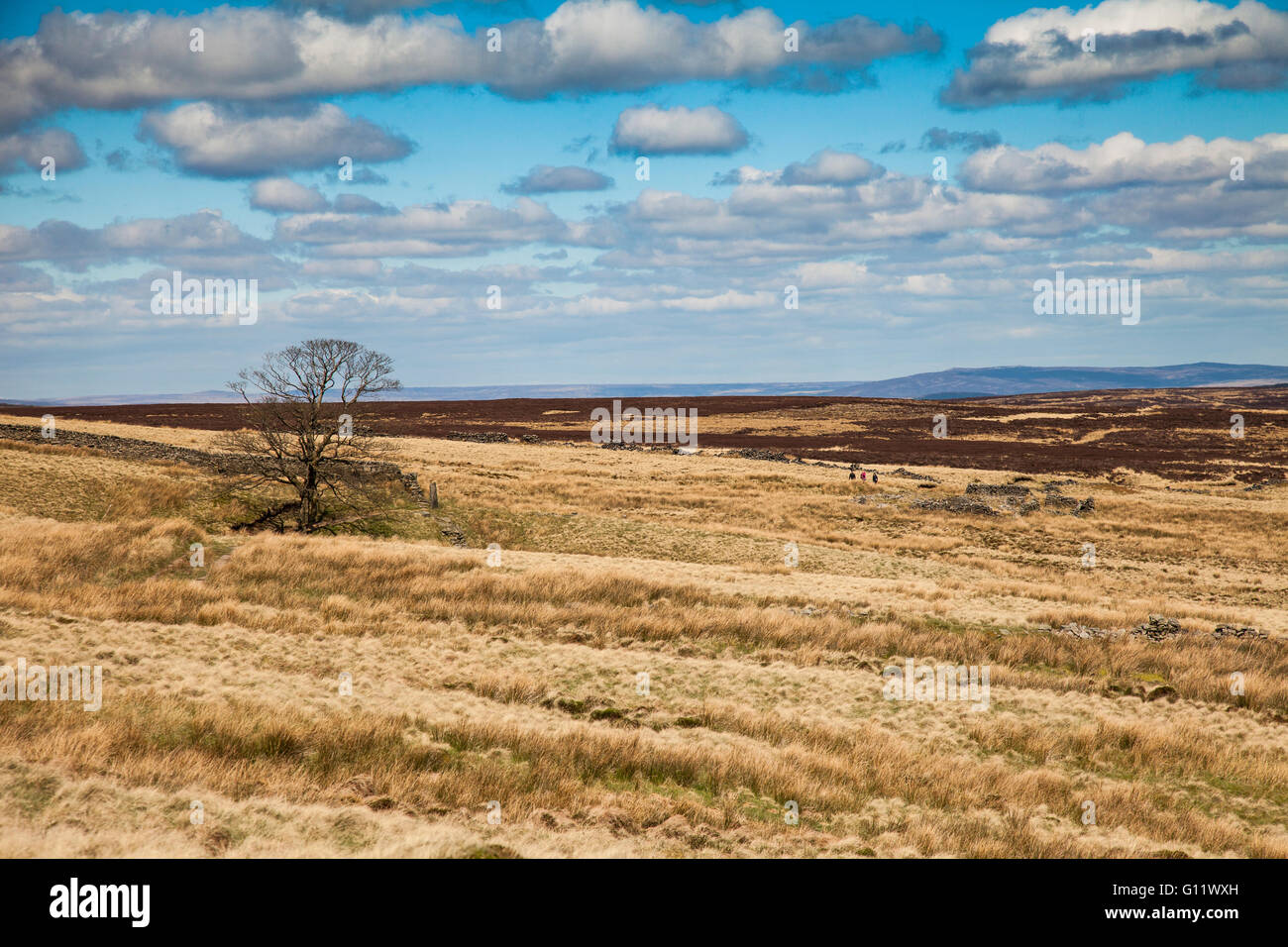 Haworth moors, Near Bronte Falls, Yorkshire Stock Photo - Alamy