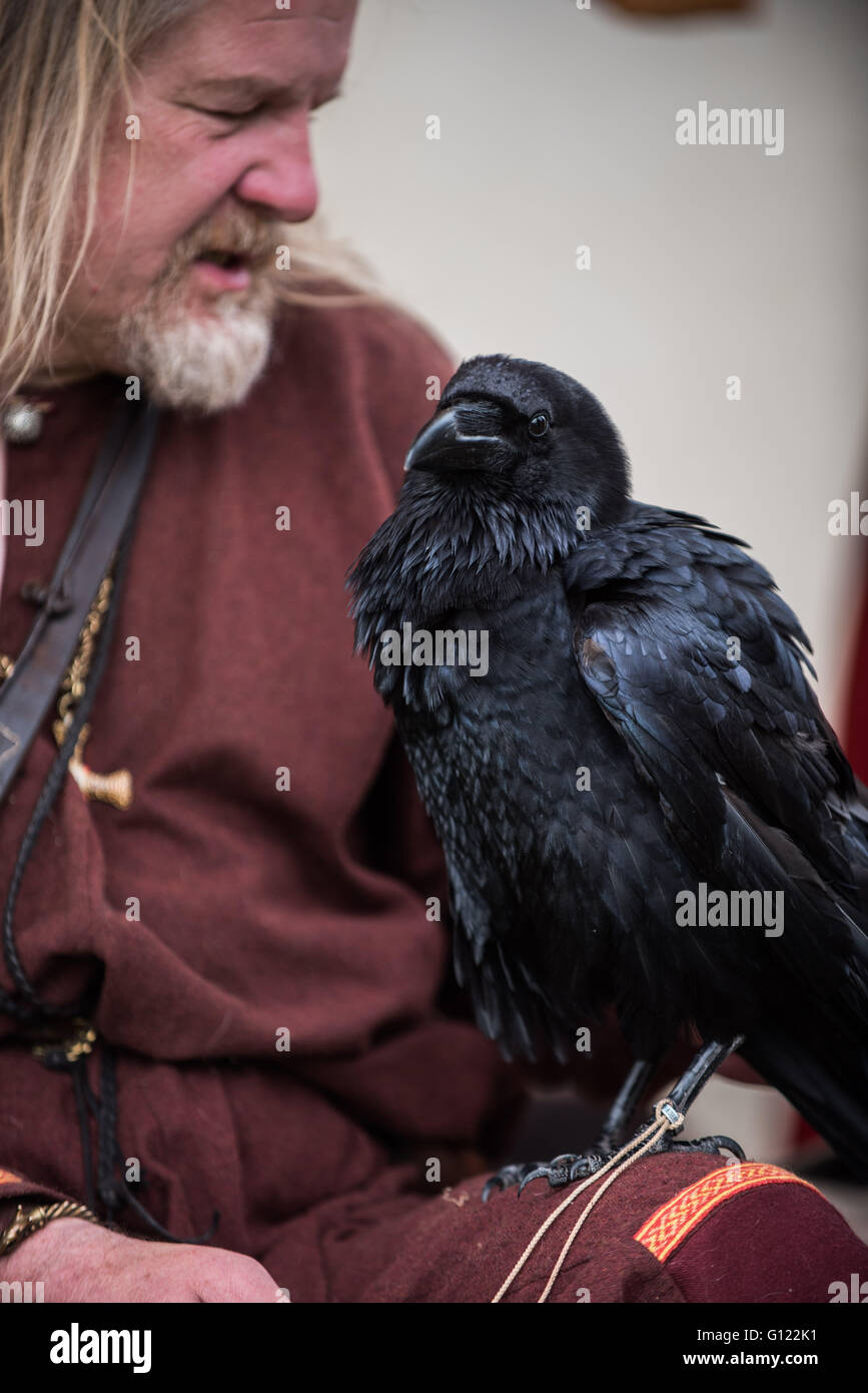 Viking raven hi-res stock photography and images - Alamy