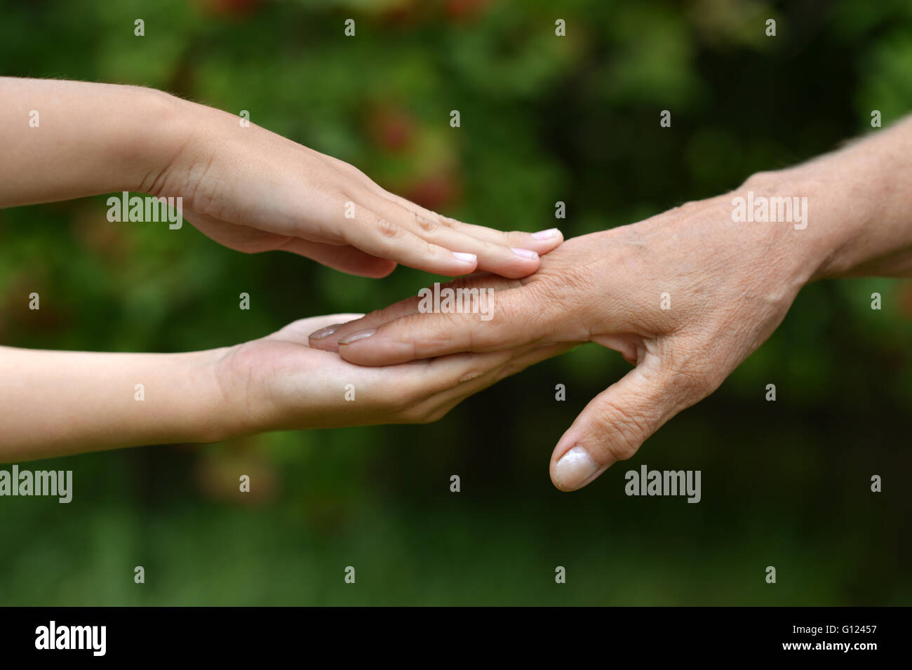 Hands held together Stock Photo - Alamy