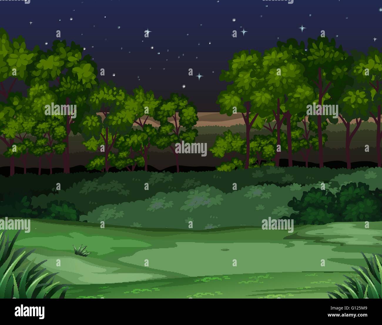 Nature scene at night illustration Stock Vector Image & Art - Alamy