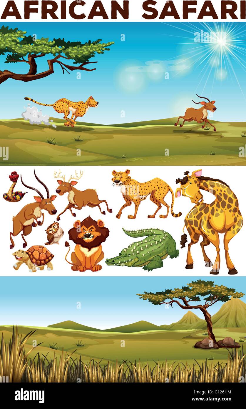 Safari theme with wild animals in the field illustration Stock Vector ...