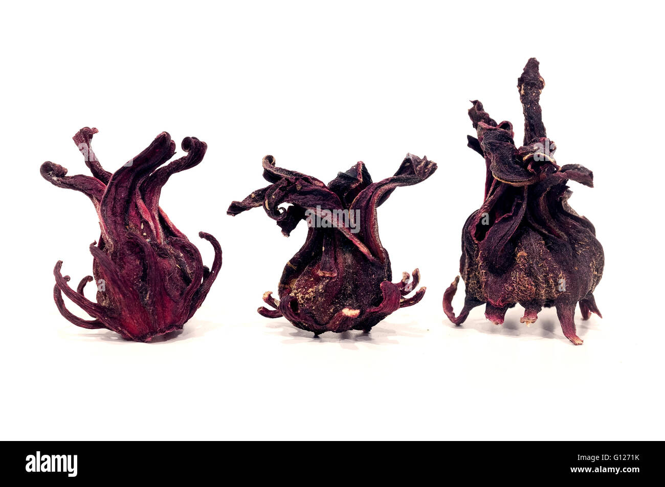 Dried roselle calyces on a white background Stock Photo - Alamy