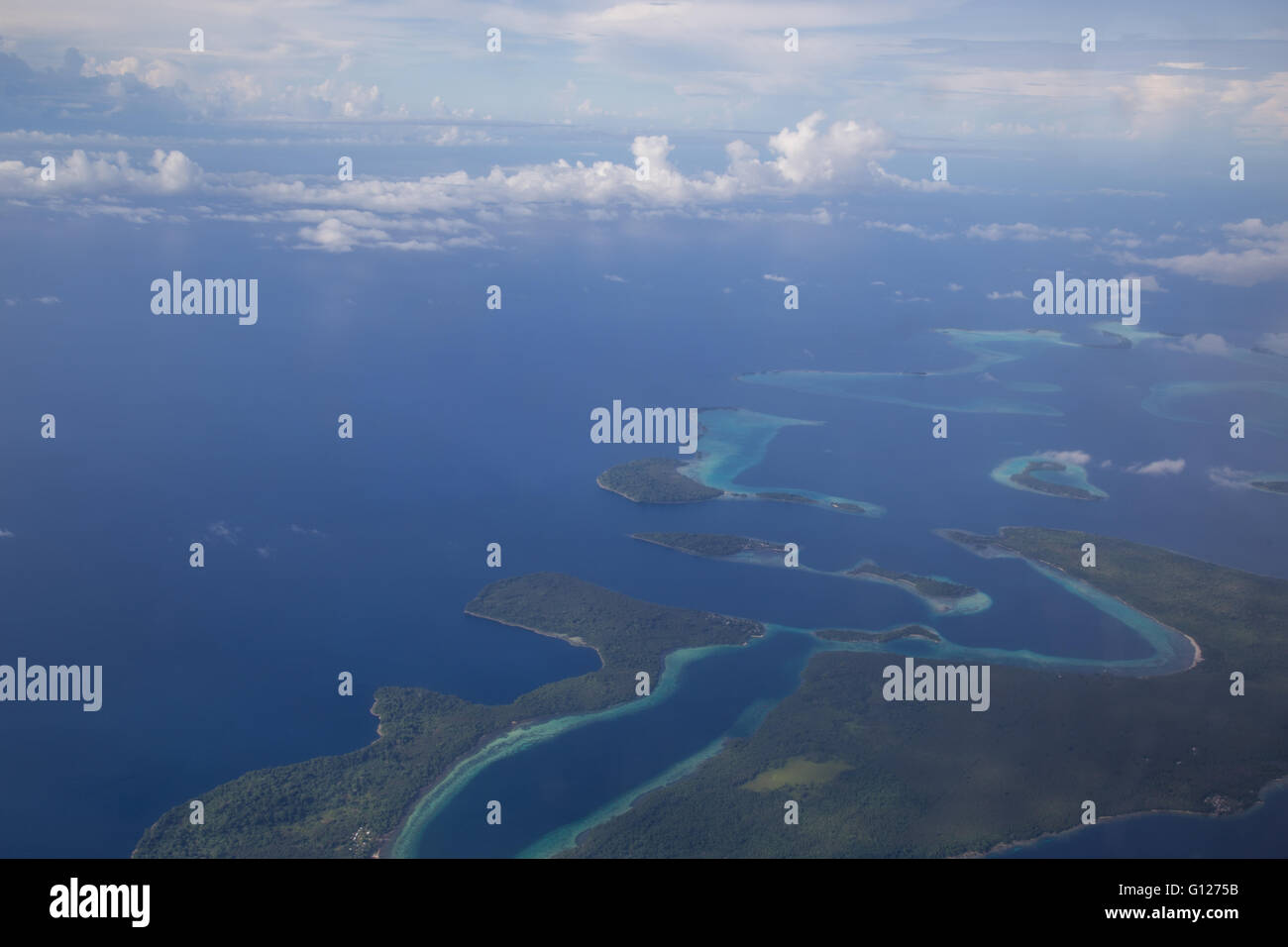 Solomon islands bird hi-res stock photography and images - Alamy