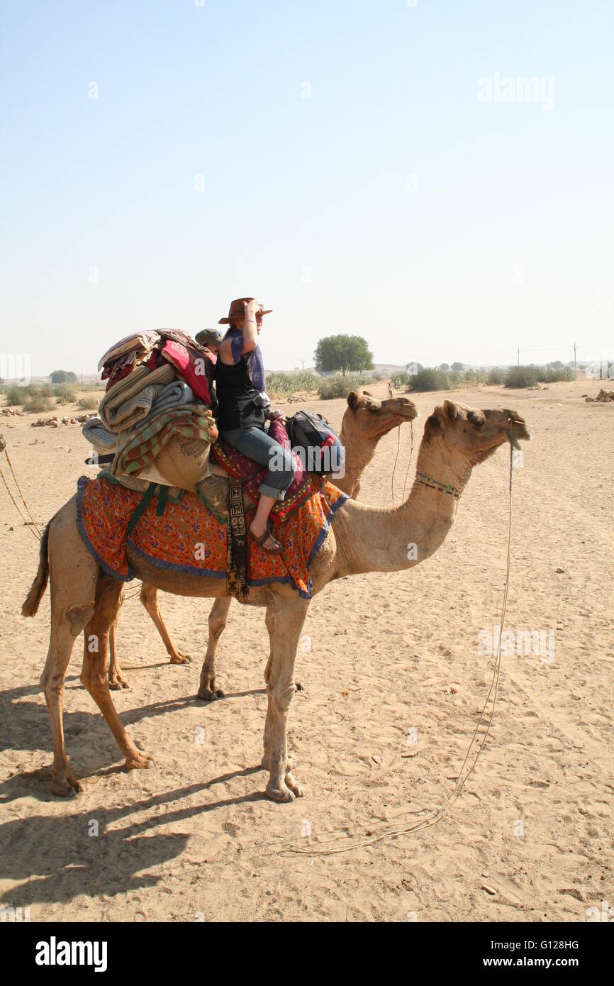 Camel ride through the Thar Desert near Jaisalmer, Rajasthan, India ...