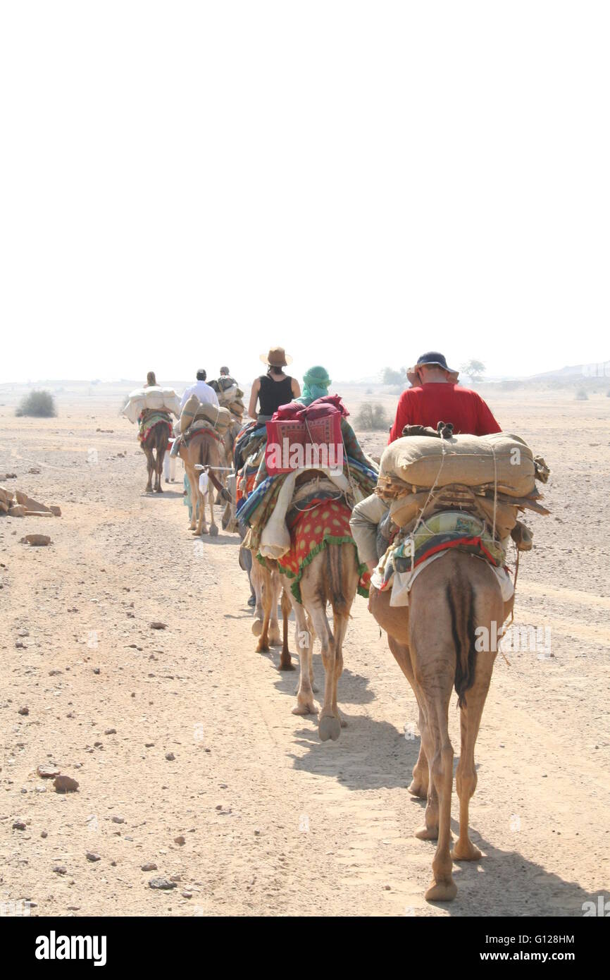Camel ride through the Thar Desert near Jaisalmer, Rajasthan, India ...