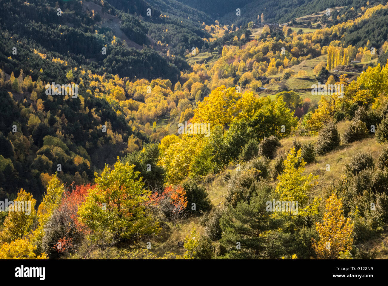 View around Sispony , La Massana, Andorra Stock Photo - Alamy