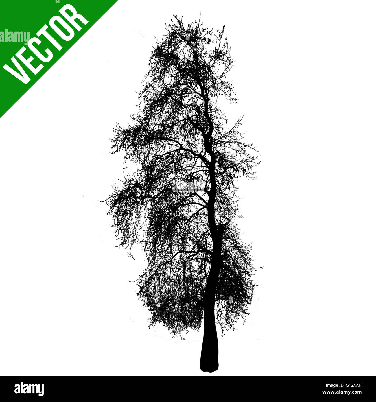 Dead tree silhouette on white background, vector illustration Stock ...