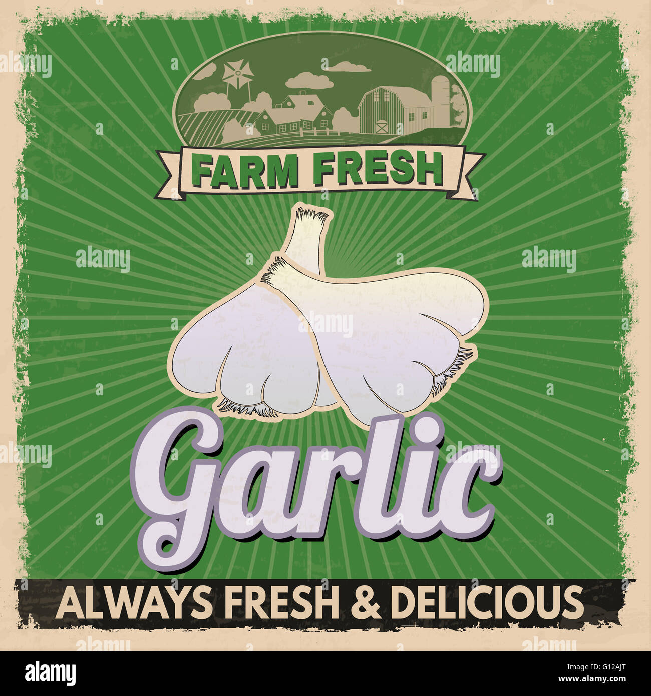 Garlic vintage grunge retro advertising poster, vector illustration ...