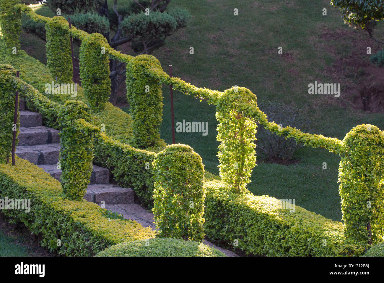 Green path with rock steps and grass handrail Stock Photo - Alamy