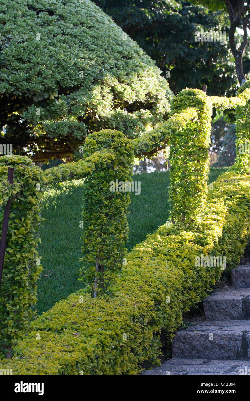 Green path with rock steps sunlight and grass handrail Stock Photo - Alamy