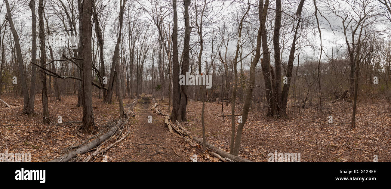 Parker meadow hi-res stock photography and images - Alamy