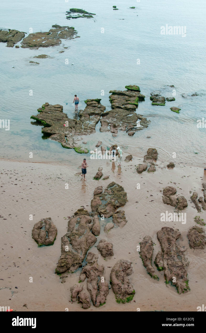 Beautiful shallow sea rocks hi-res stock photography and images - Alamy