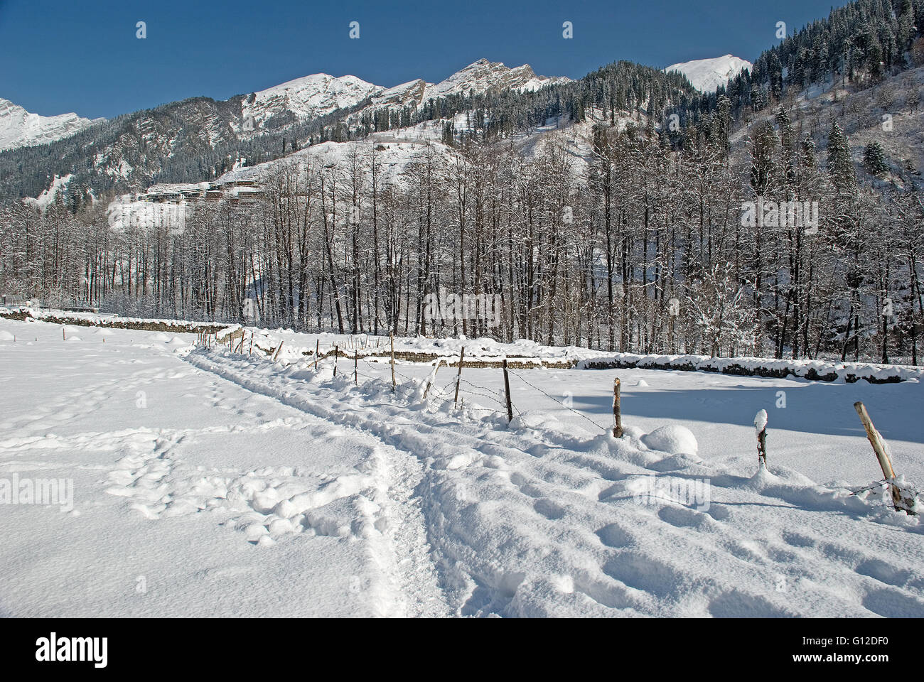 Winter snowscapes at Solang Valley, near Manali, Himachal Pradesh ...