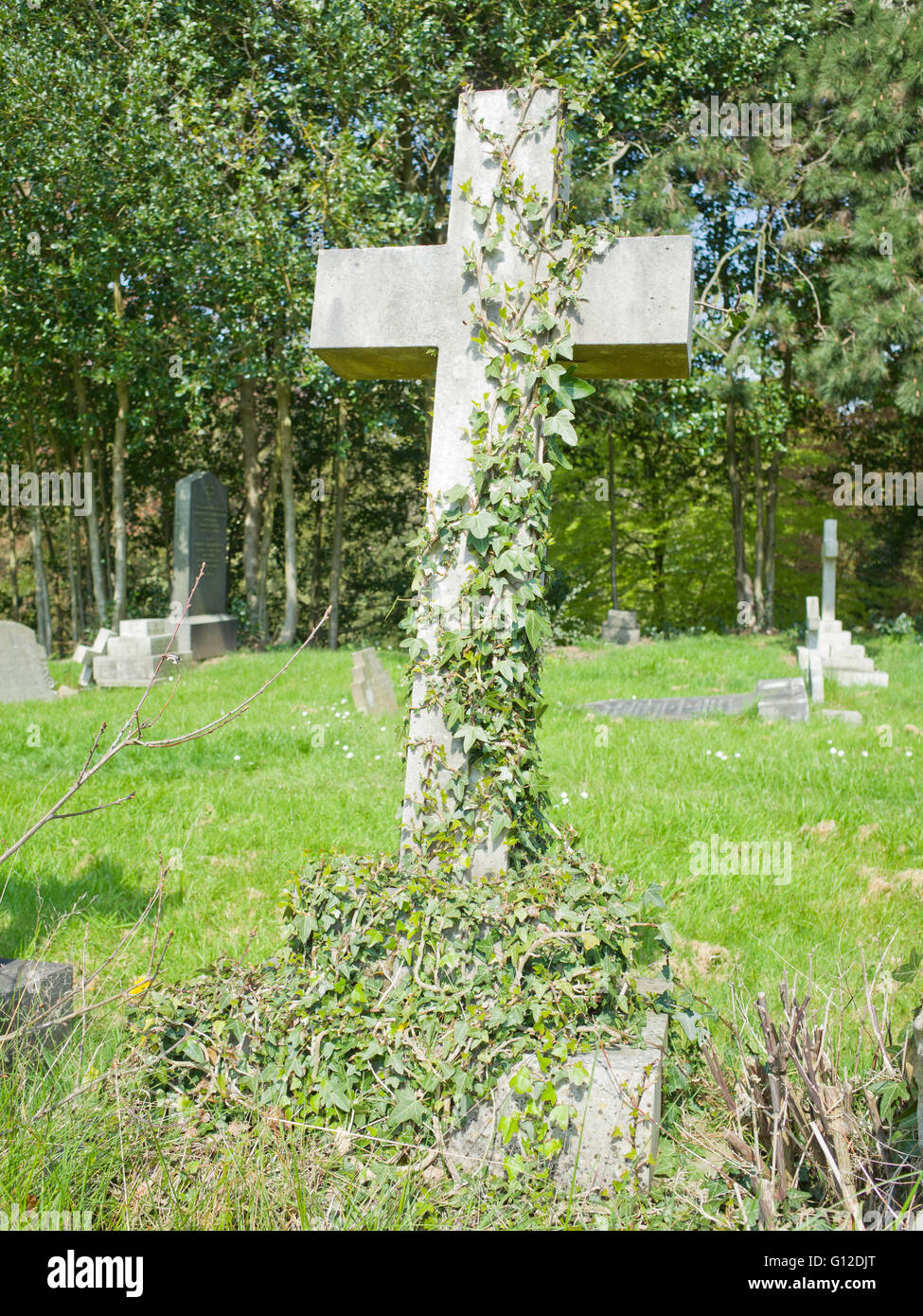Overgrown grave hi-res stock photography and images - Alamy