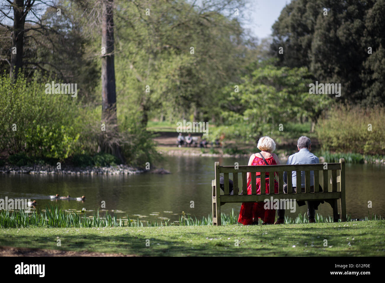 Bench overlooking pond hi-res stock photography and images - Alamy