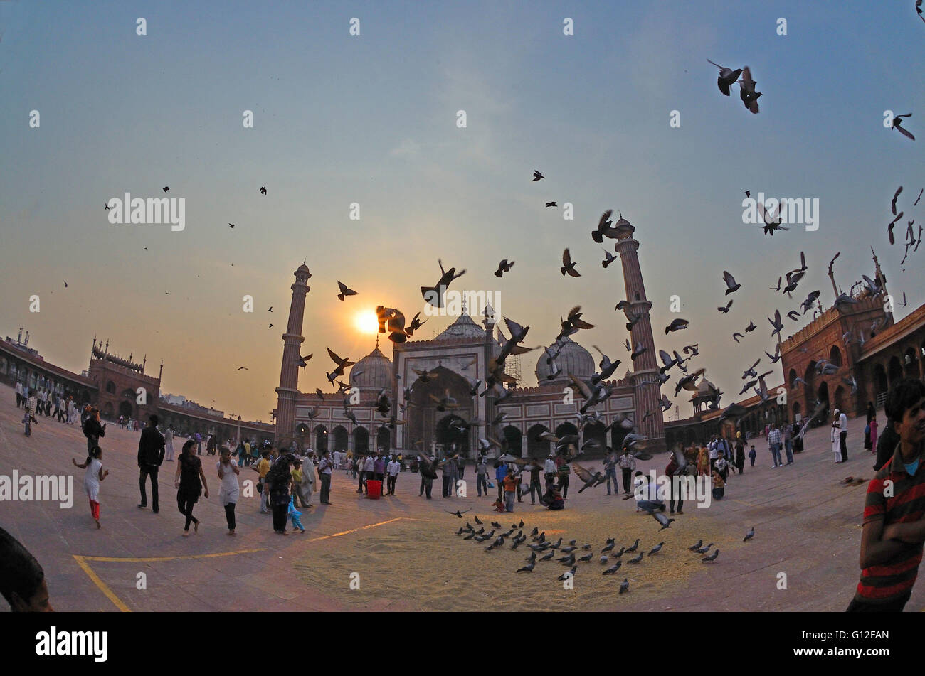 Delhi jama masjid courtyard hi-res stock photography and images - Alamy