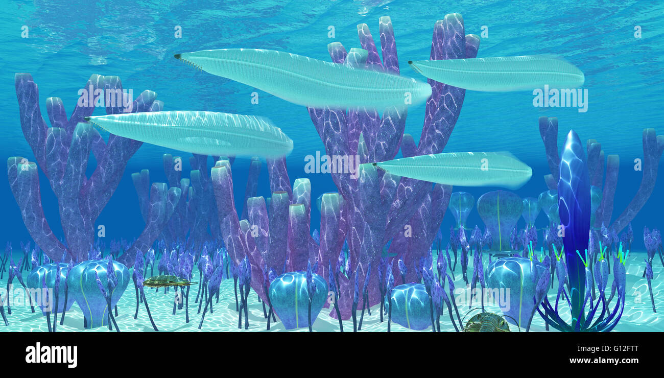 Pikaia fish swim together along with Trilobite invertebrates in blue ...