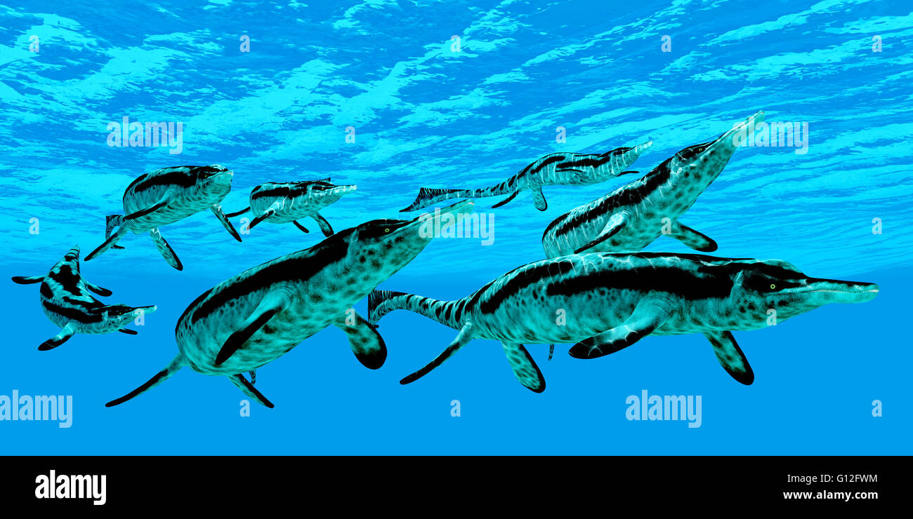 The ichthyosaurs hi-res stock photography and images - Alamy