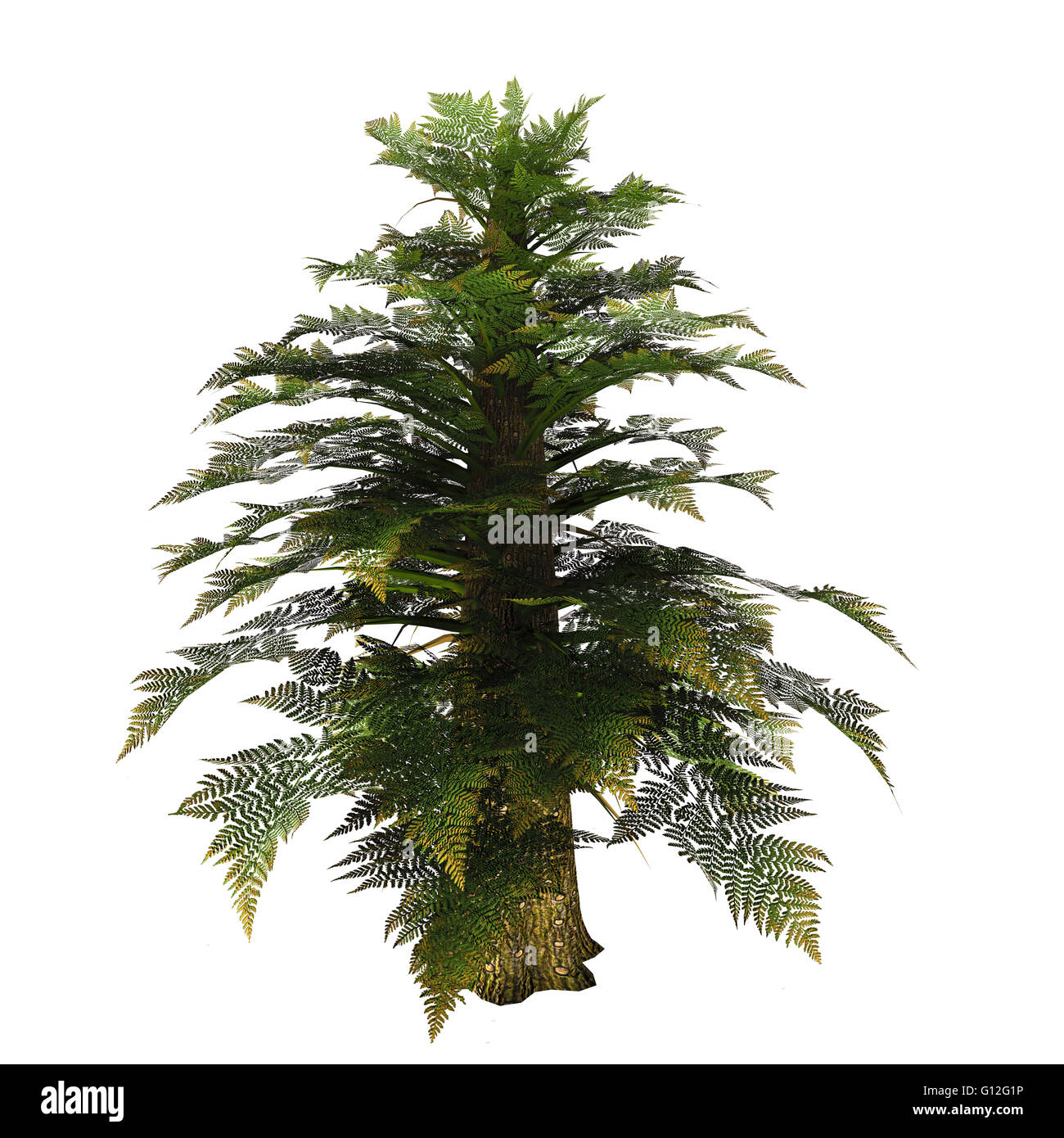 Tempskya was a tree fern diffused in the Cretaceous period Stock Photo ...