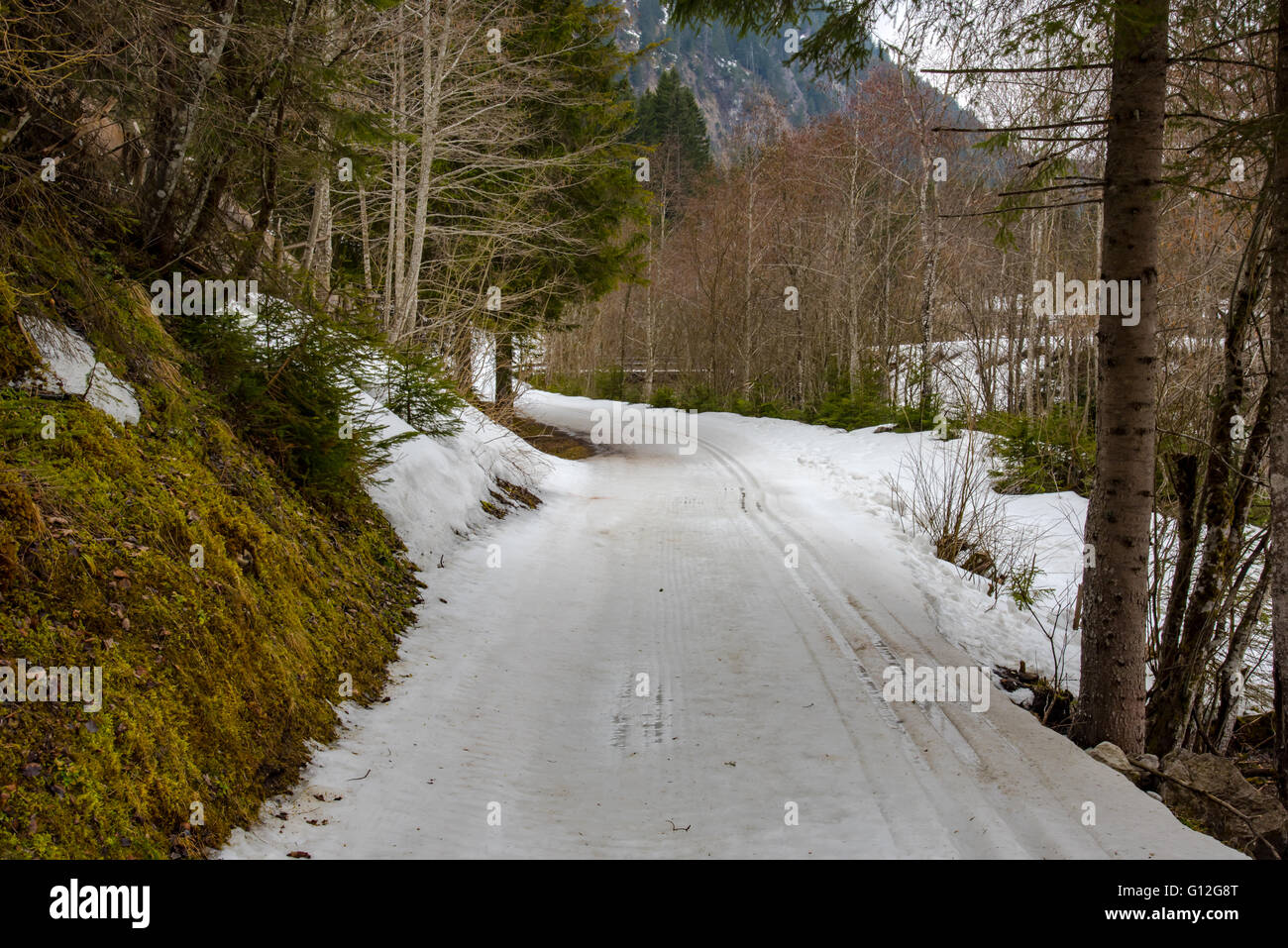 Difficult forest terrain hi-res stock photography and images - Alamy