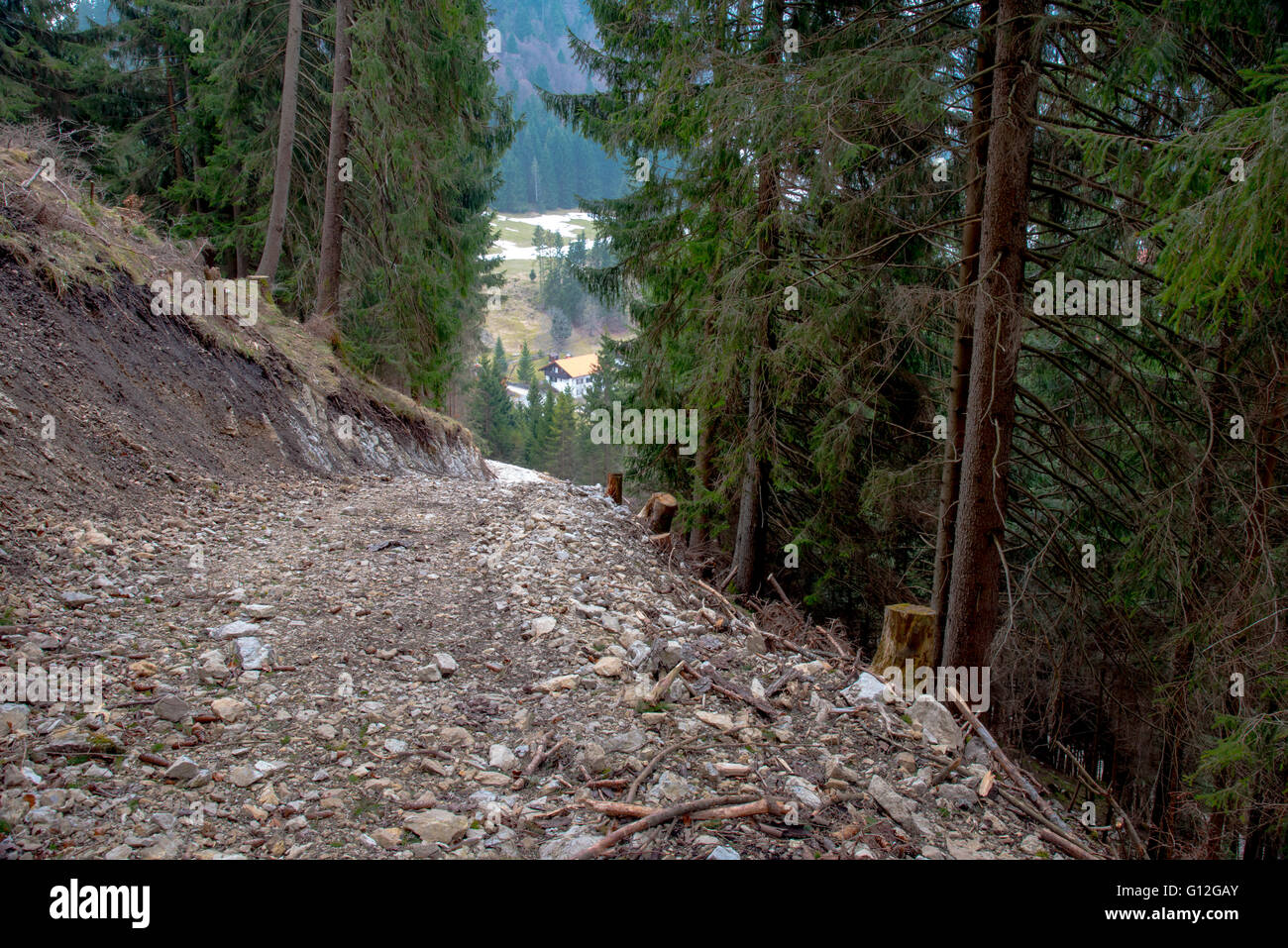 Difficult forest hi-res stock photography and images - Alamy