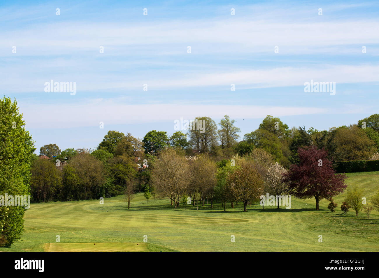 Golf Course With Tree Lined Fairways Stock Photo - Alamy