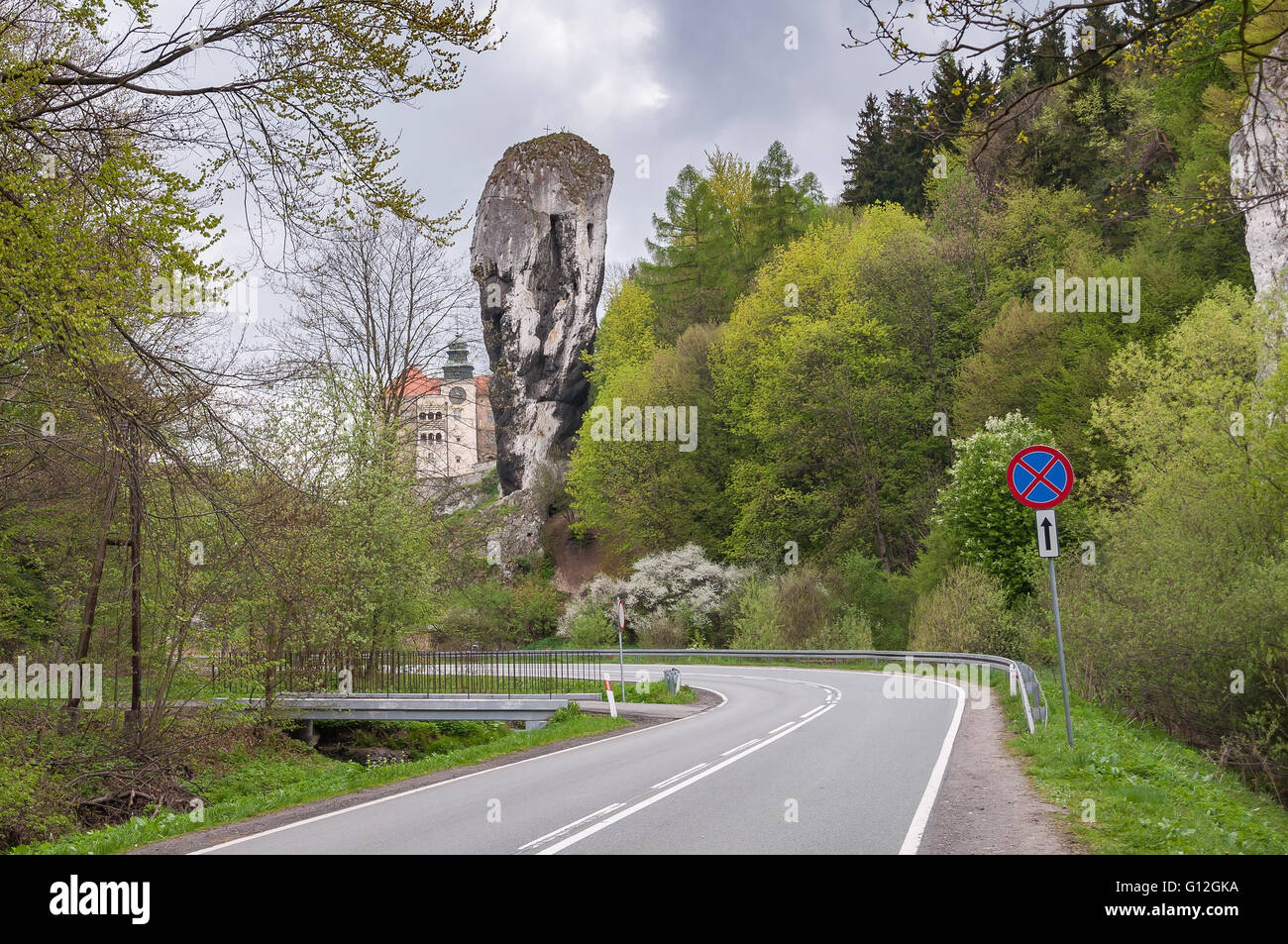 Hercules club tree hi-res stock photography and images - Alamy
