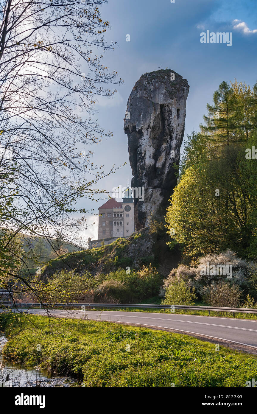 Hercules club tree hi-res stock photography and images - Alamy