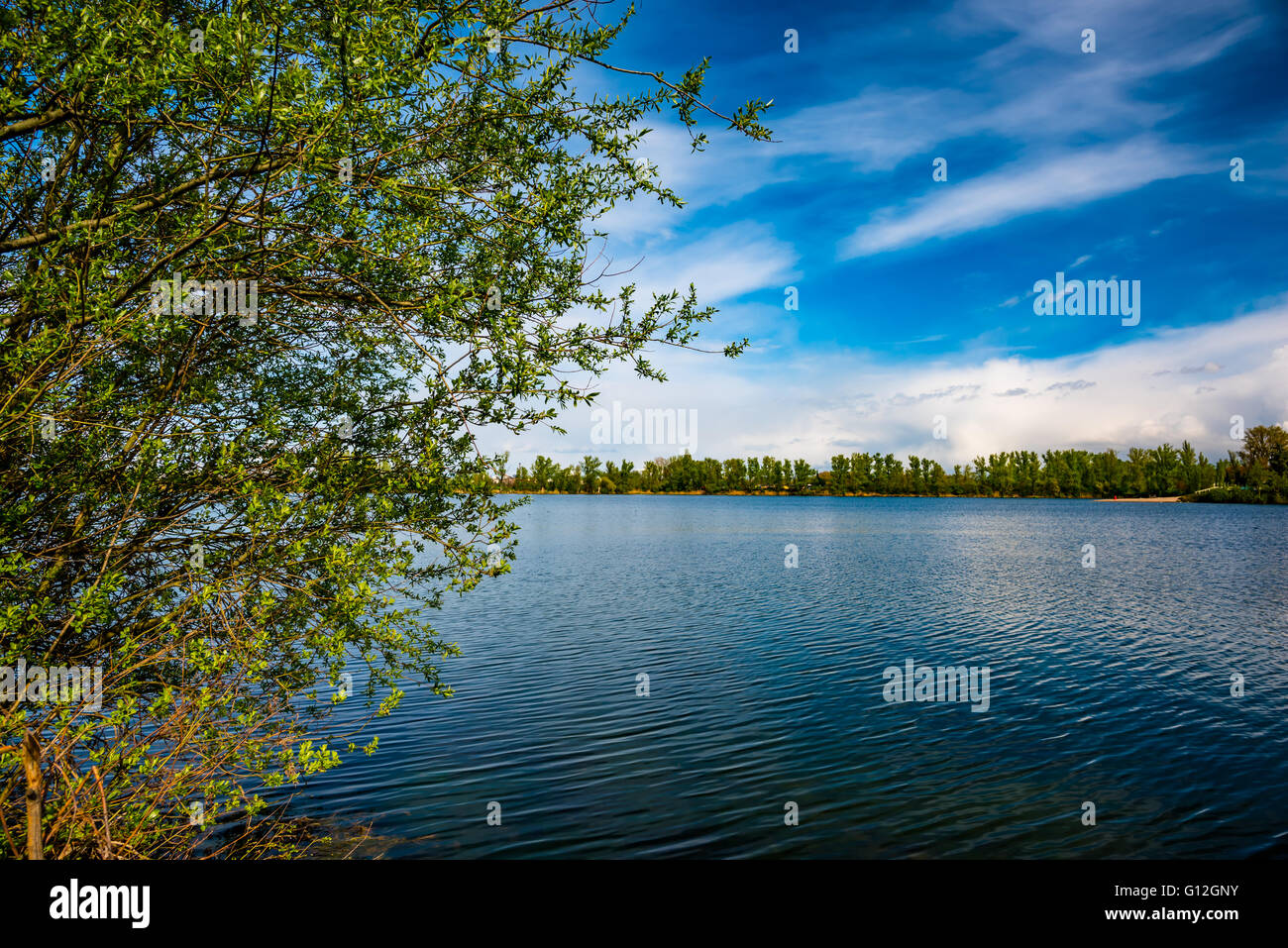 Beautiful spring water landscape Stock Photo - Alamy