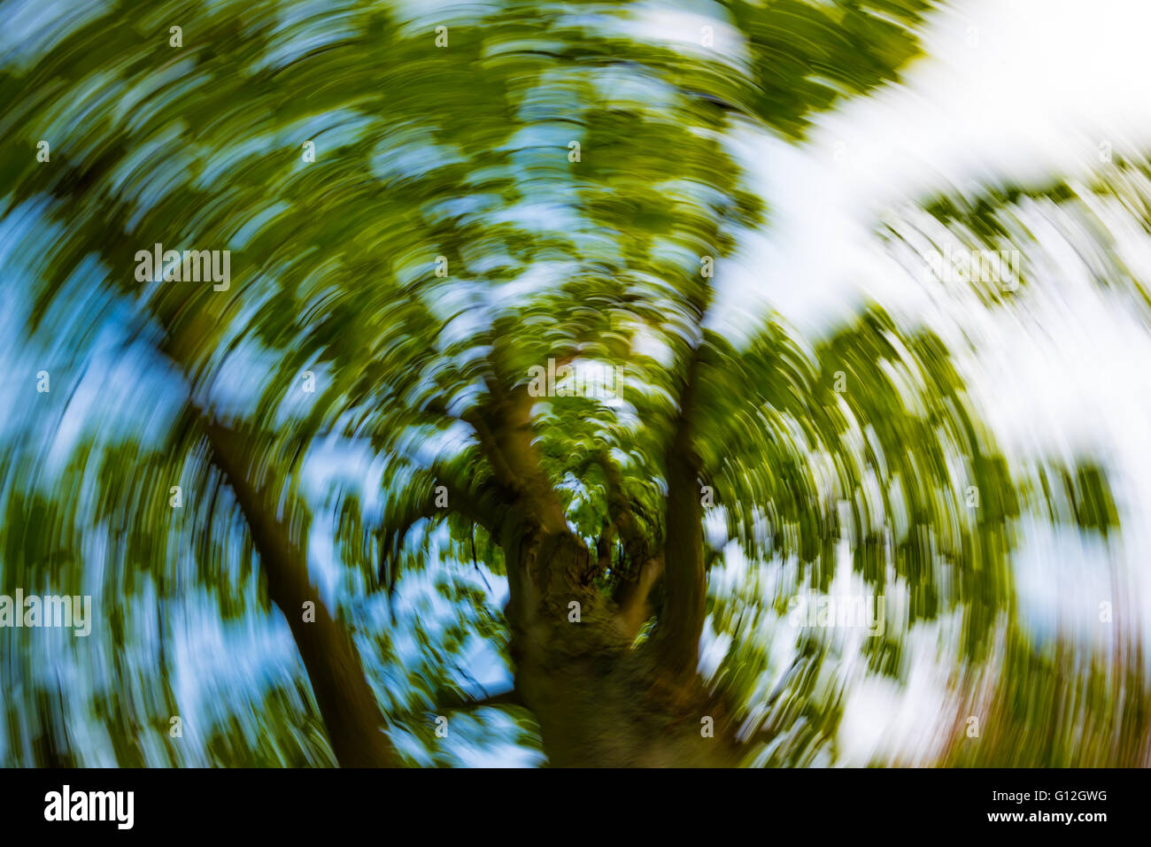 Beautiful spring water landscape Stock Photo - Alamy