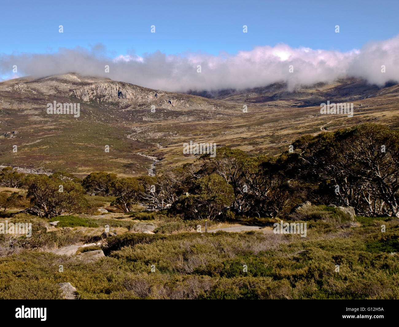 Australia: Snowy Mountains, NSW. Clouds over main range from Charlotte ...