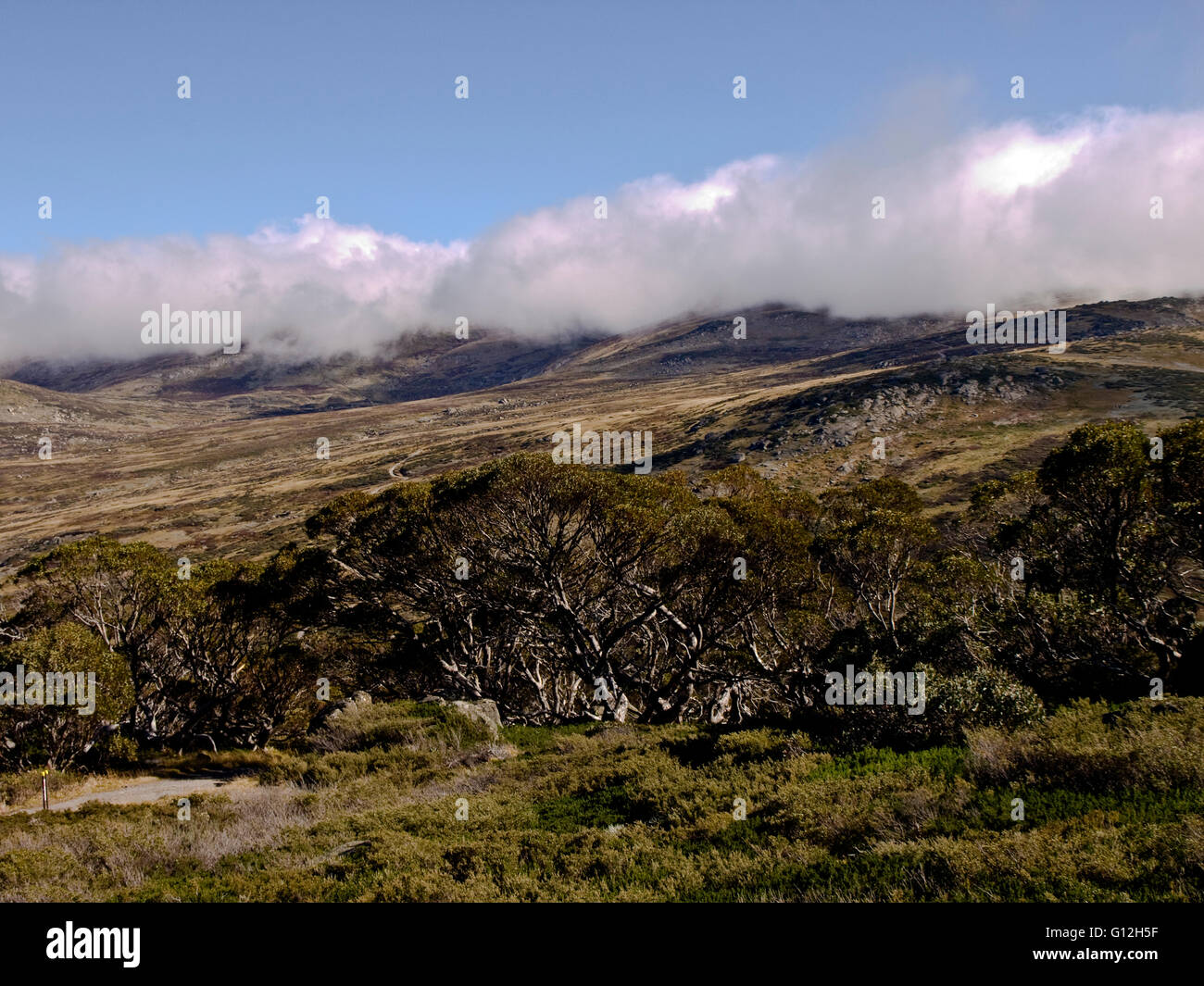 Australia: Snowy Mountains, NSW. Clouds over main range from Charlotte ...