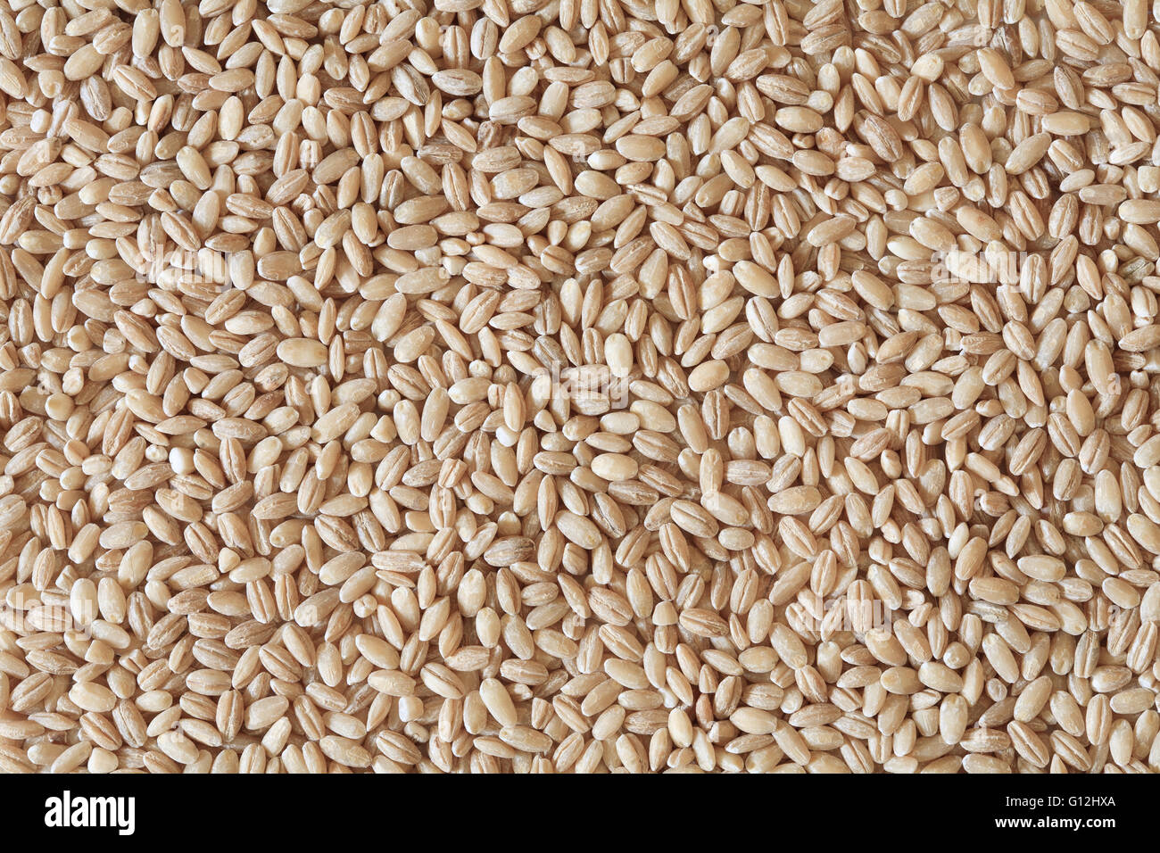 Cooking pearl barley porridge hi-res stock photography and images - Alamy