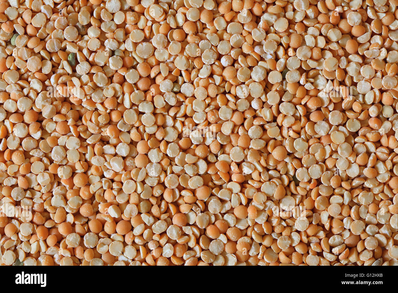Corn kernel section hi-res stock photography and images - Alamy