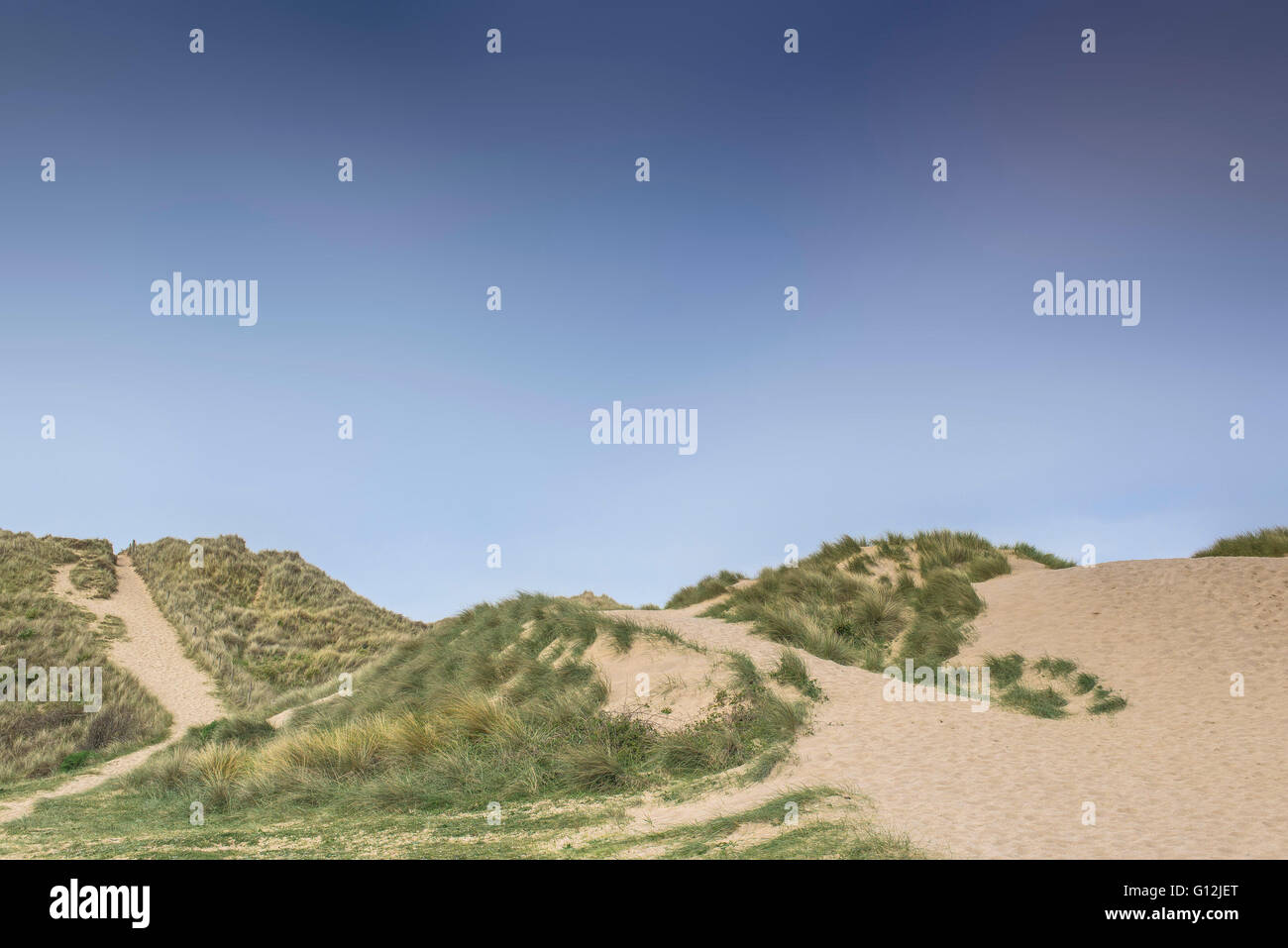 Sand dunes habitat hi-res stock photography and images - Alamy