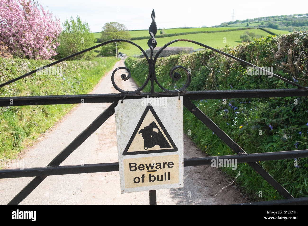 Beware bull warning sign on hi-res stock photography and images - Alamy