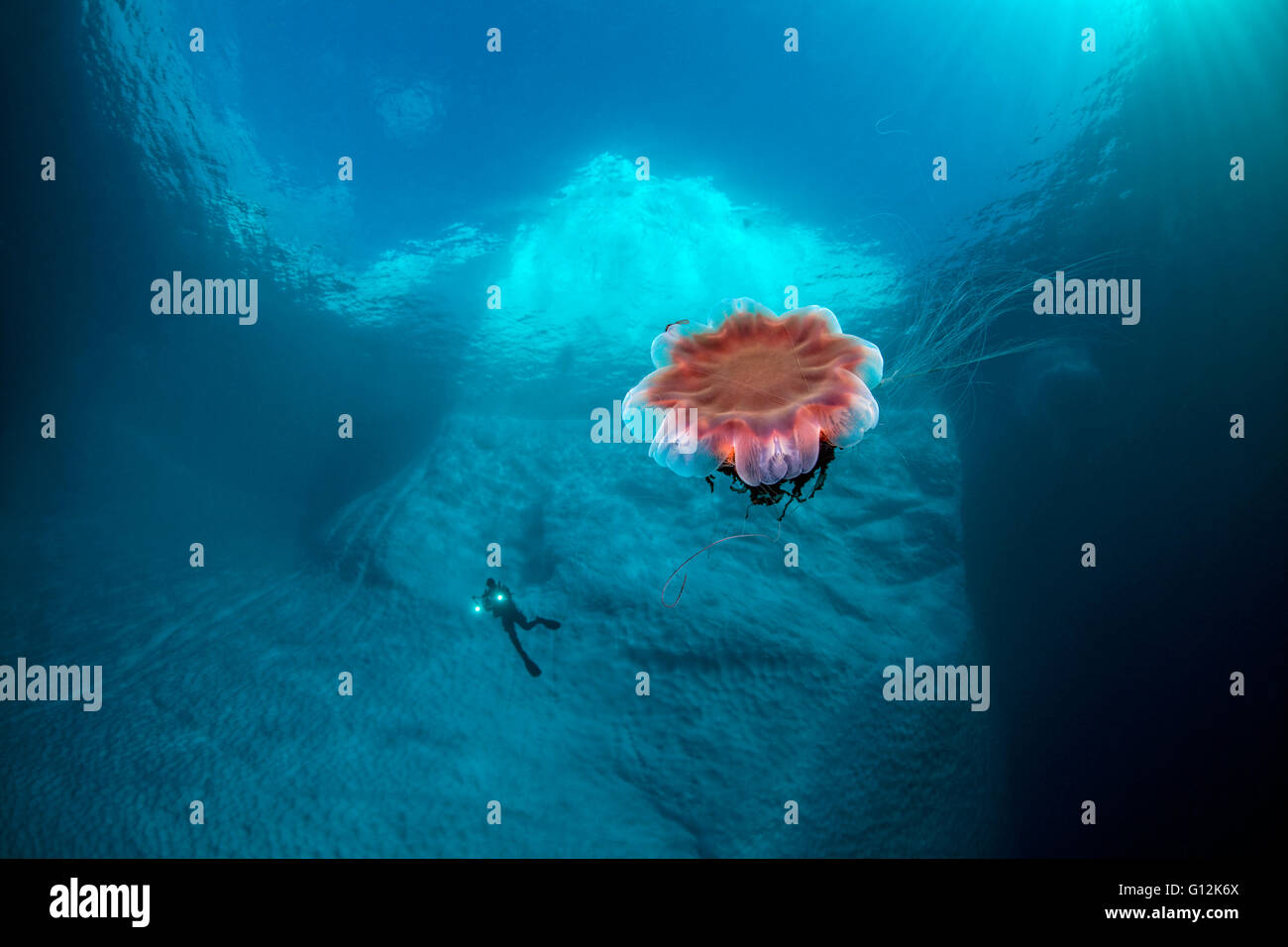 Underwater iceberg ice hi-res stock photography and images - Alamy