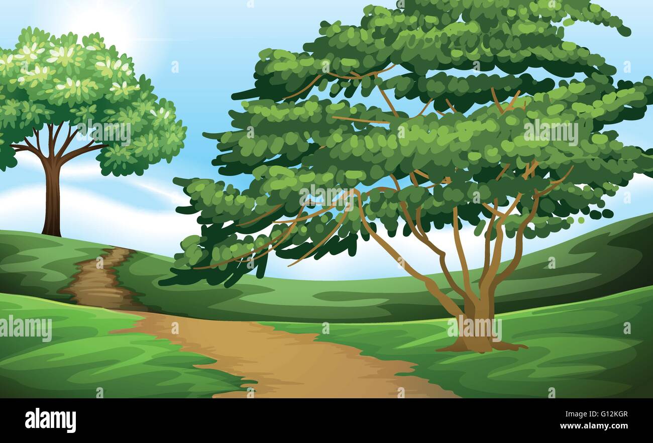 Grass field trees in Stock Vector Images - Alamy