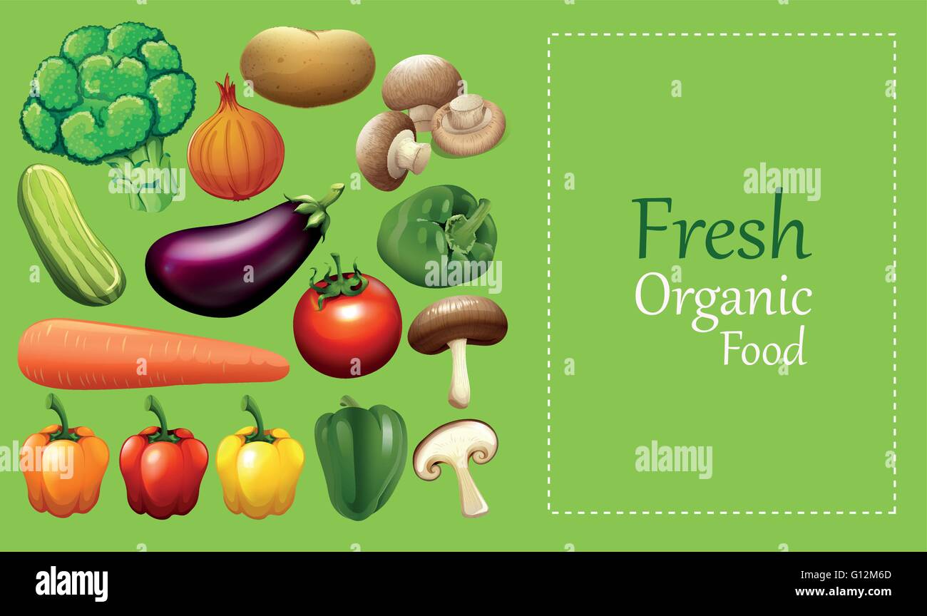 Paper design with many vegetables illustration Stock Vector Image & Art ...